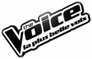 THE VOICE - MikaWebsite[.Com!] - Le 1er site sur Mika en France